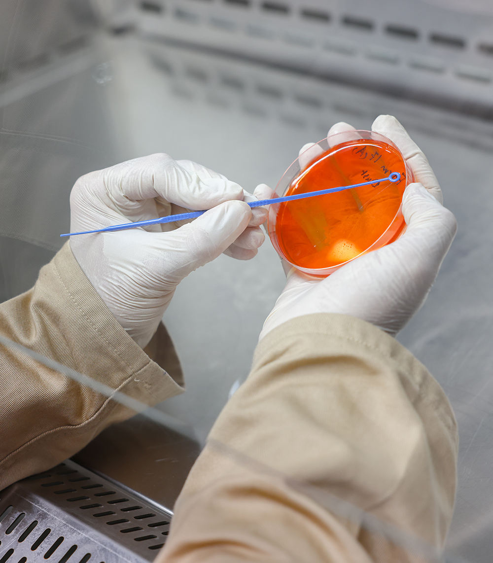 Laboratory and Veterinary Health Care - Osool Poultry